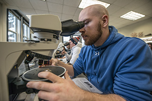 Department of Earth and Environmental Sciences at Michigan State University